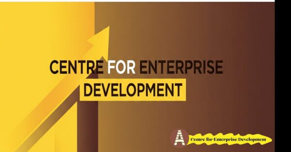Center for Enterprise Development - Africa Leadership Foundation